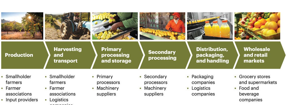 Value Chain Modeling – AOF